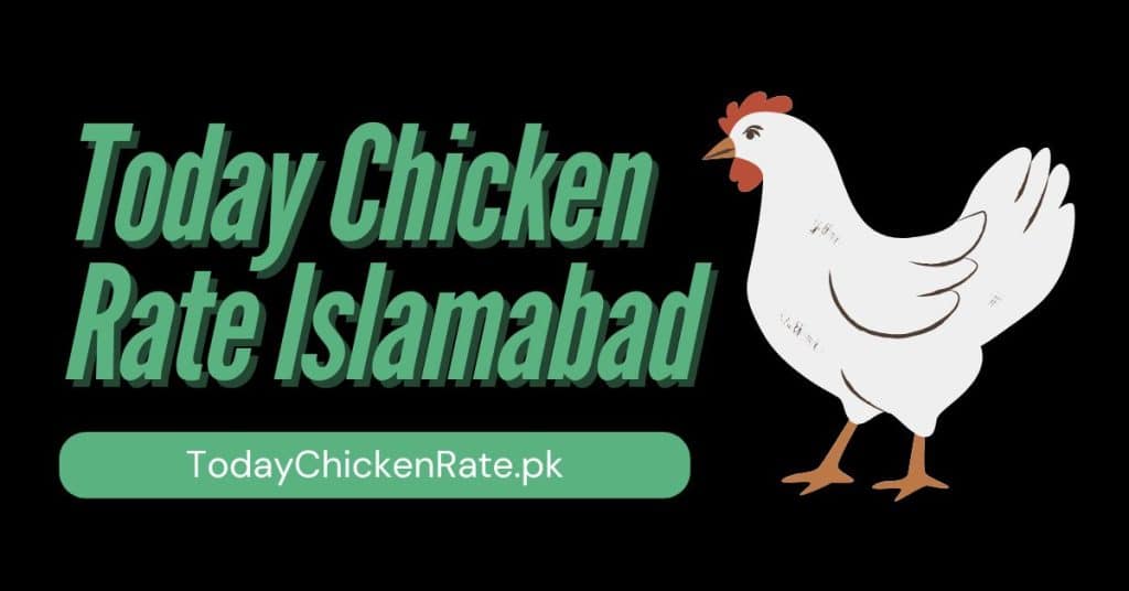 Chicken Rate Today Islamabad: Per Kg, Retail, Wholesale